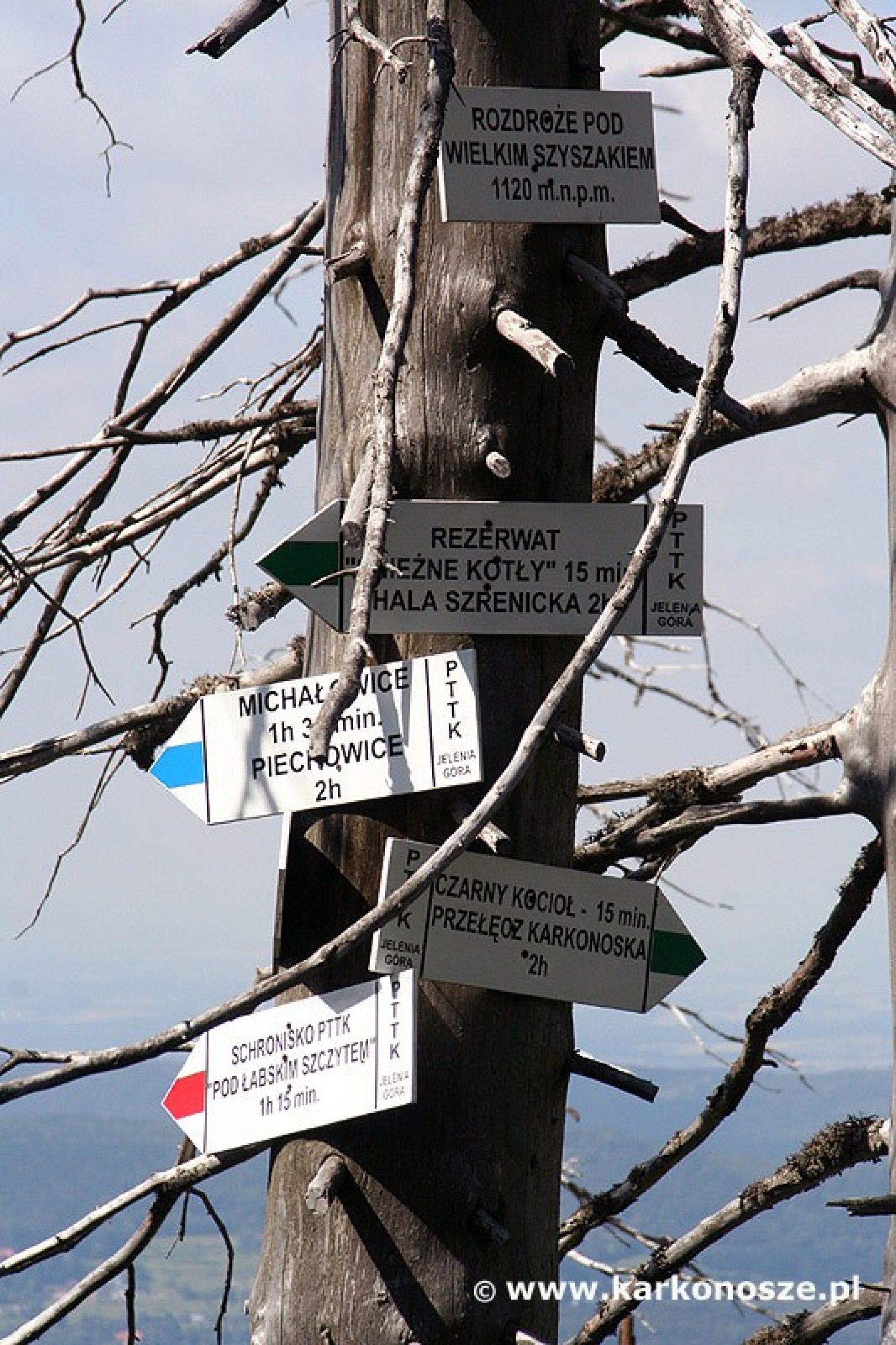 Piechowice - noclegi, atrakcje, gastronomia. Zapraszamy na wczasy w ...
