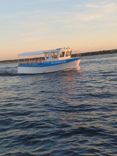 Morskie Safari - Rejsy na Foki - Świbno - Wyspa Sobieszewska